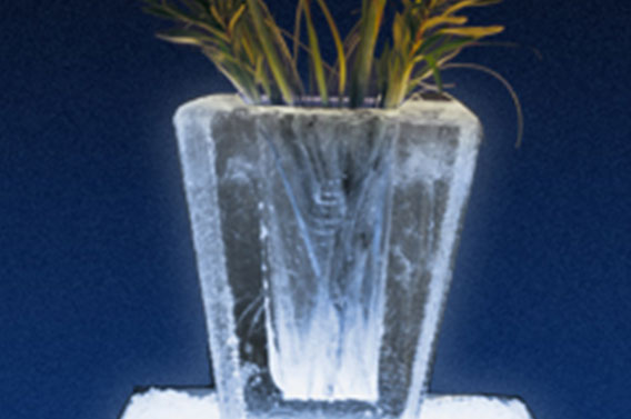 Large Vase - Immediate Ice